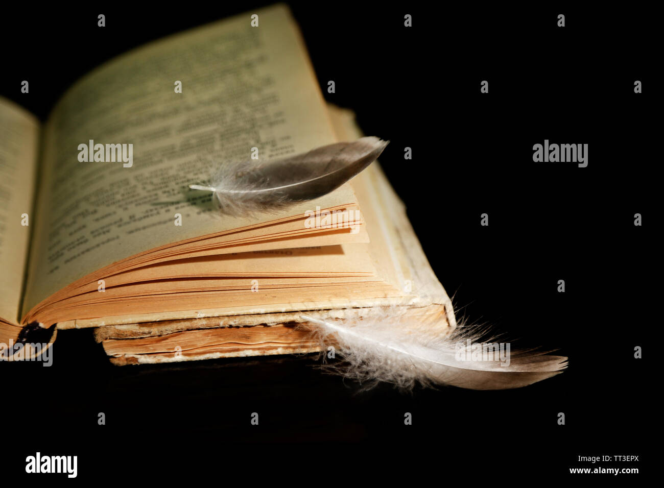 Feather lying on pages of open book, isolated on black Stock Photo - Alamy