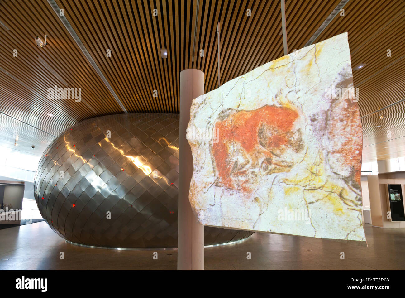 Museo de la Evolución Humana, Burgos, Castilla y León, Spain. Human ...