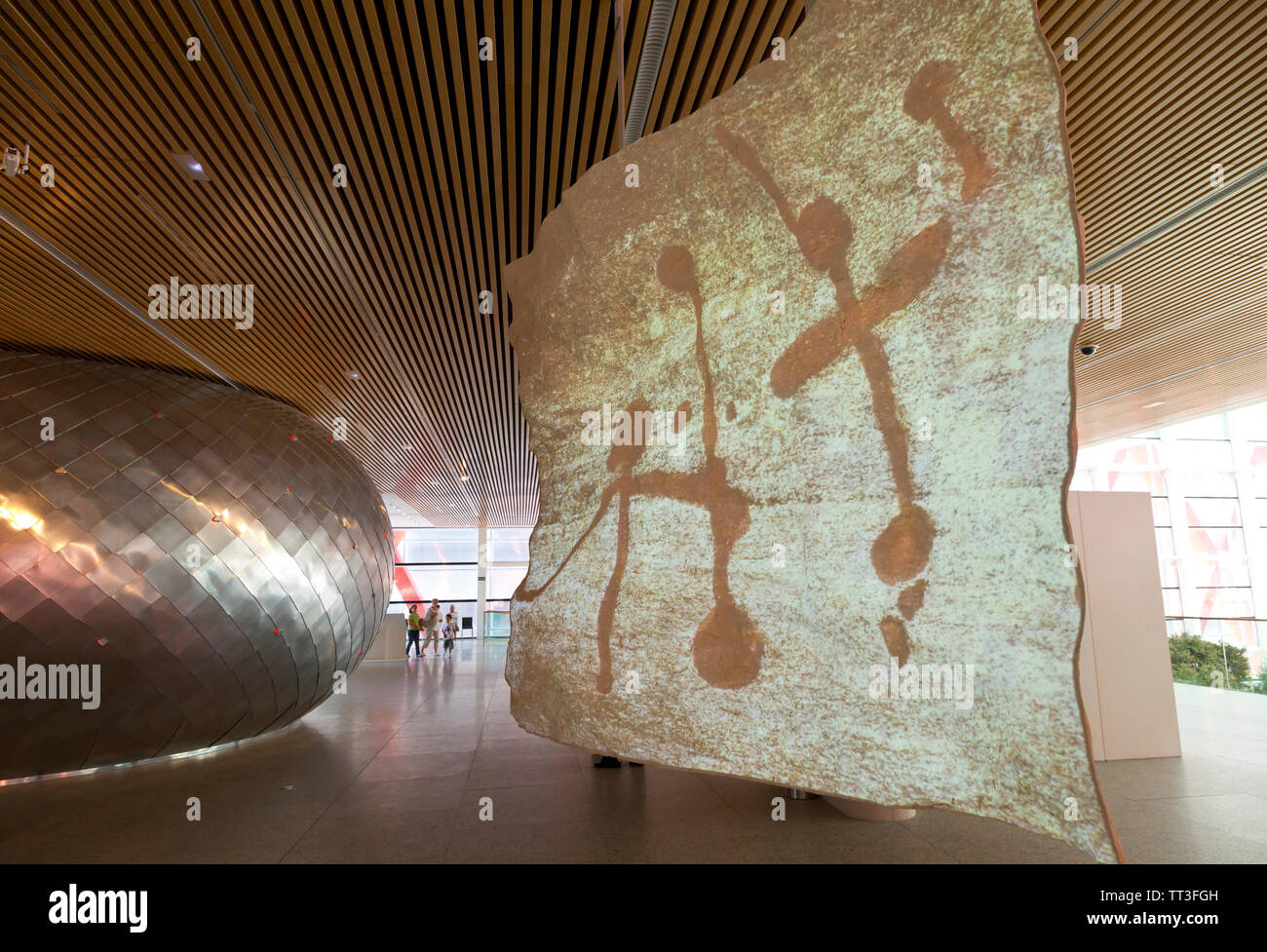 Museo de la Evolución Humana, Burgos, Castilla y León, Spain. Human ...