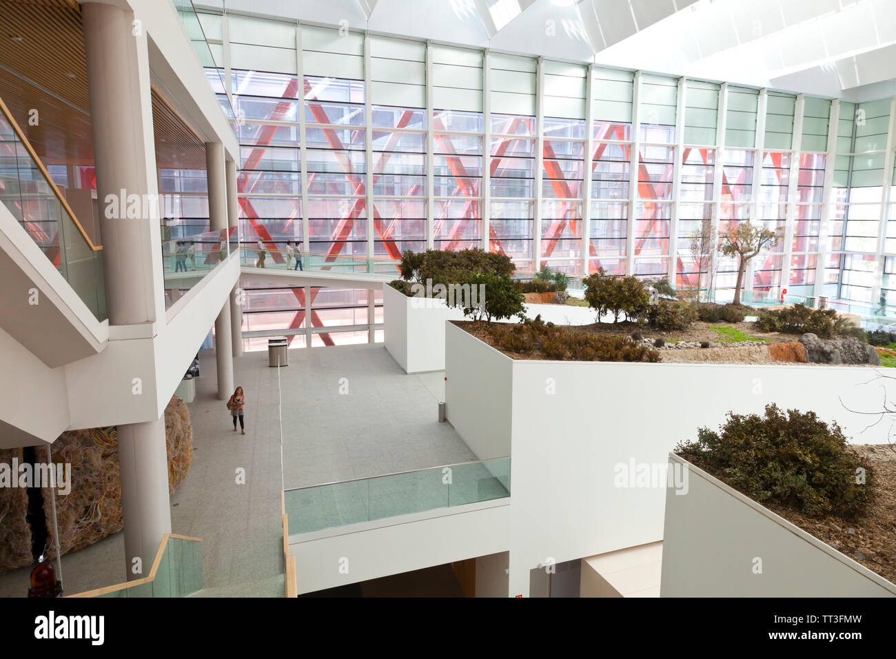 Museo de la Evolución Humana, Burgos, Castilla y León, Spain. Human ...