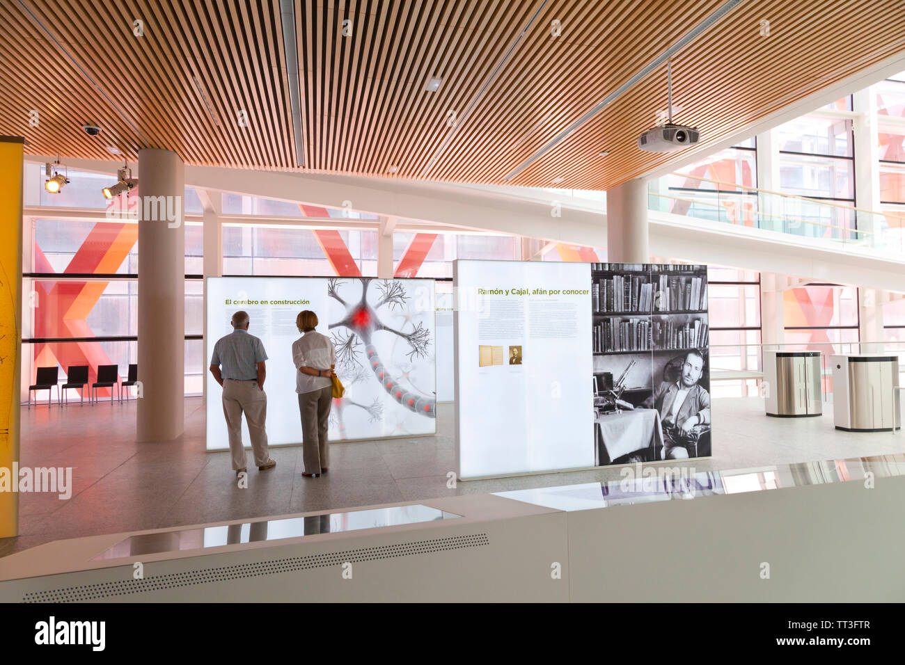 Museo de la Evolución Humana, Burgos, Castilla y León, Spain. Human ...