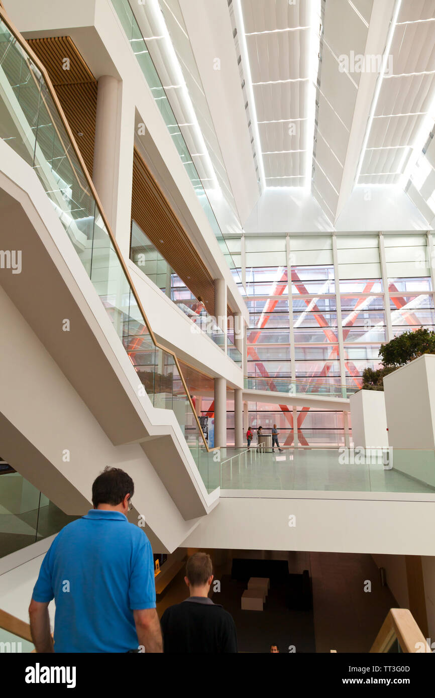 Museo de la Evolución Humana, Burgos, Castilla y León, Spain. Human ...