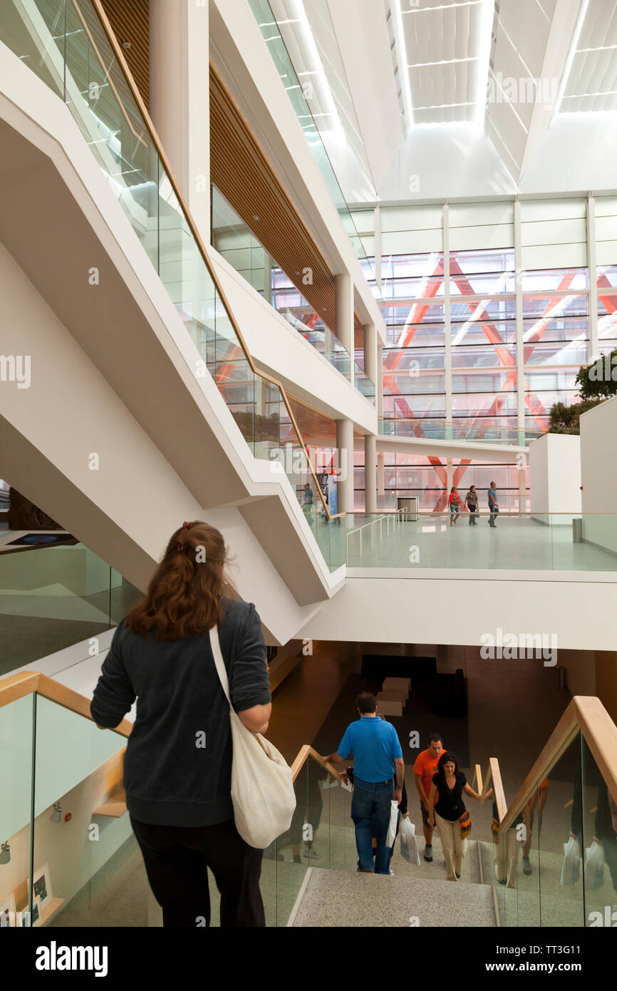 Museo de la Evolución Humana, Burgos, Castilla y León, Spain. Human ...