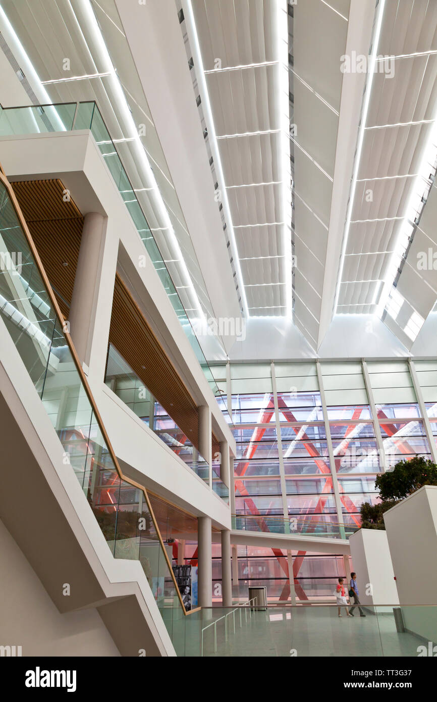 Museo de la Evolución Humana, Burgos, Castilla y León, Spain. Human ...