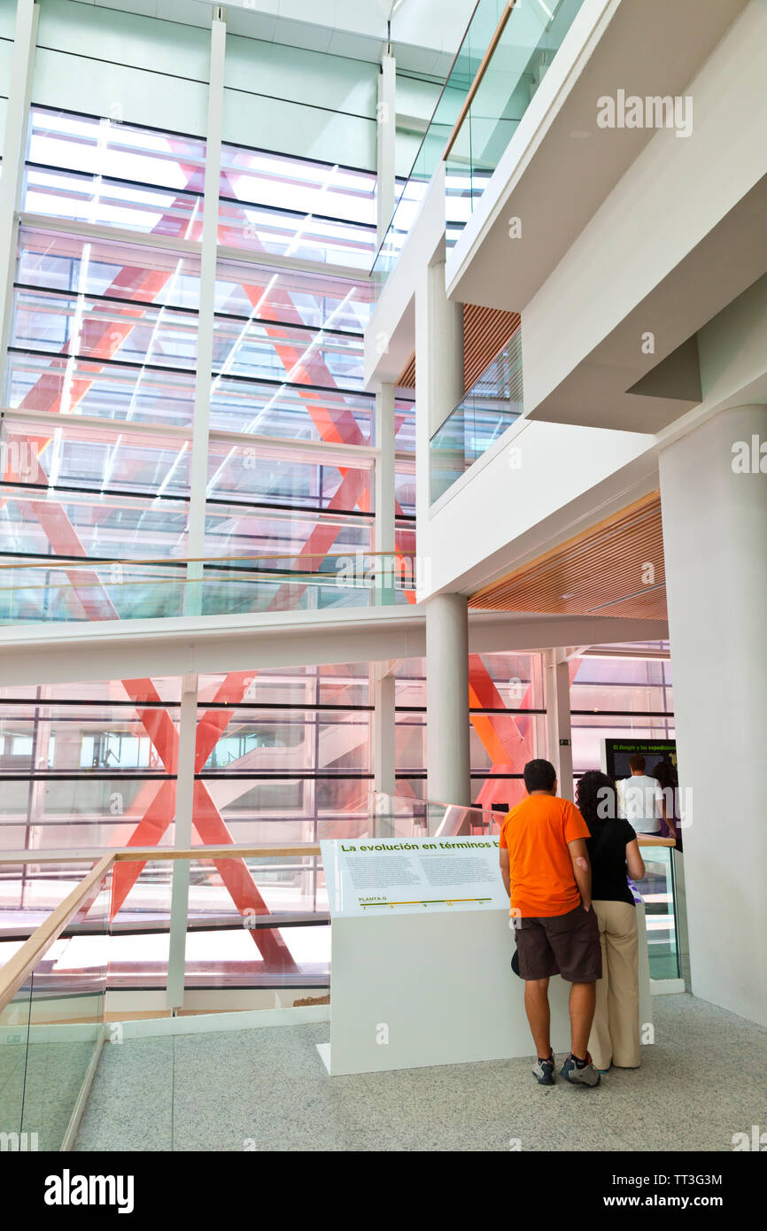 Museo de la Evolución Humana, Burgos, Castilla y León, Spain. Human ...