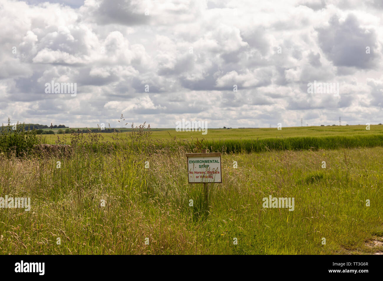 Conservation Notice of an Environmental Strip on farmland next to ...
