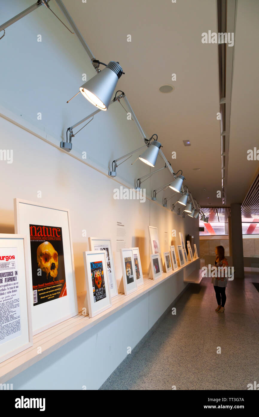 Museo de la Evolución Humana, Burgos, Castilla y León, Spain. Human ...