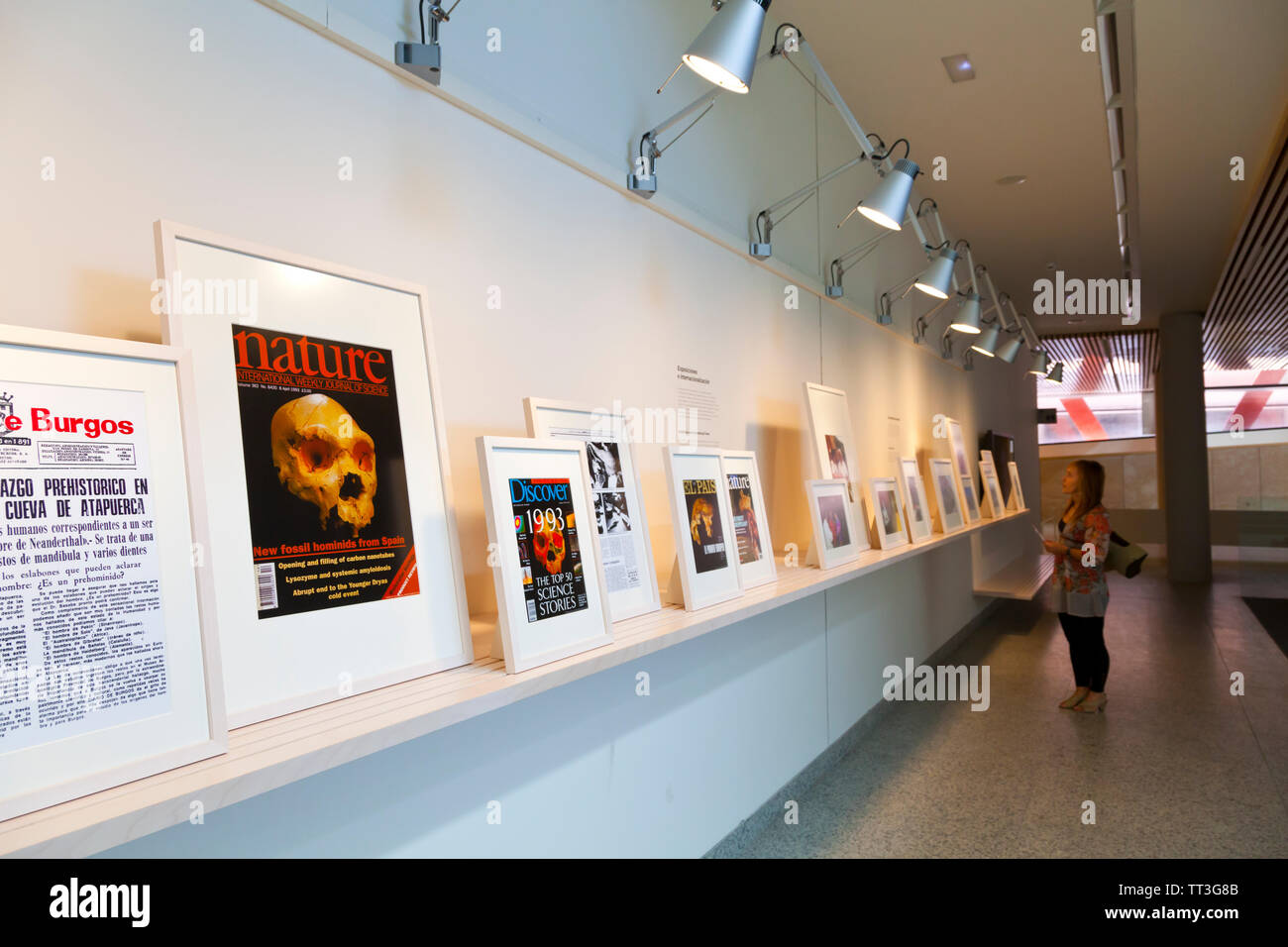 Museo de la Evolución Humana, Burgos, Castilla y León, Spain. Human ...