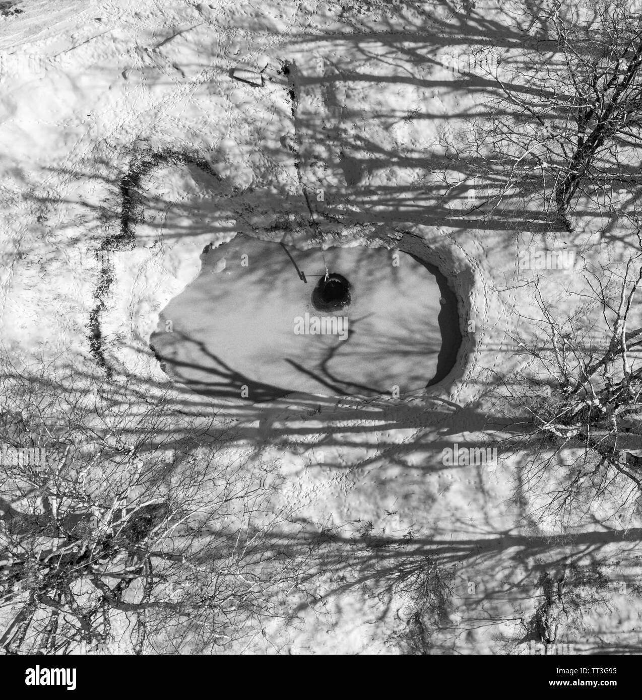 Woods aerial view hi-res stock photography and images - Alamy