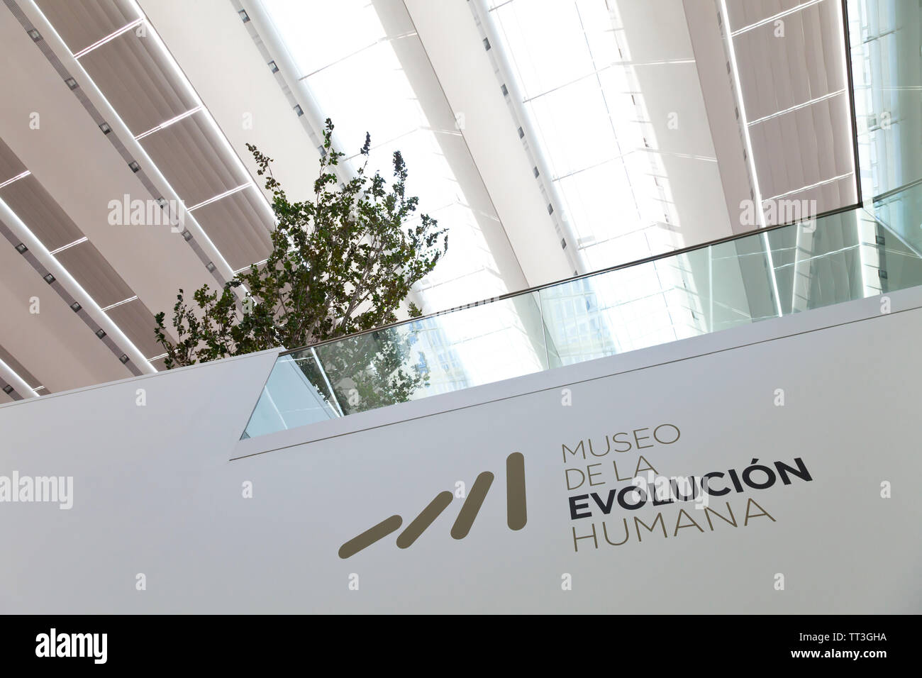 Museo de la Evolución Humana, Burgos, Castilla y León, Spain. Human ...