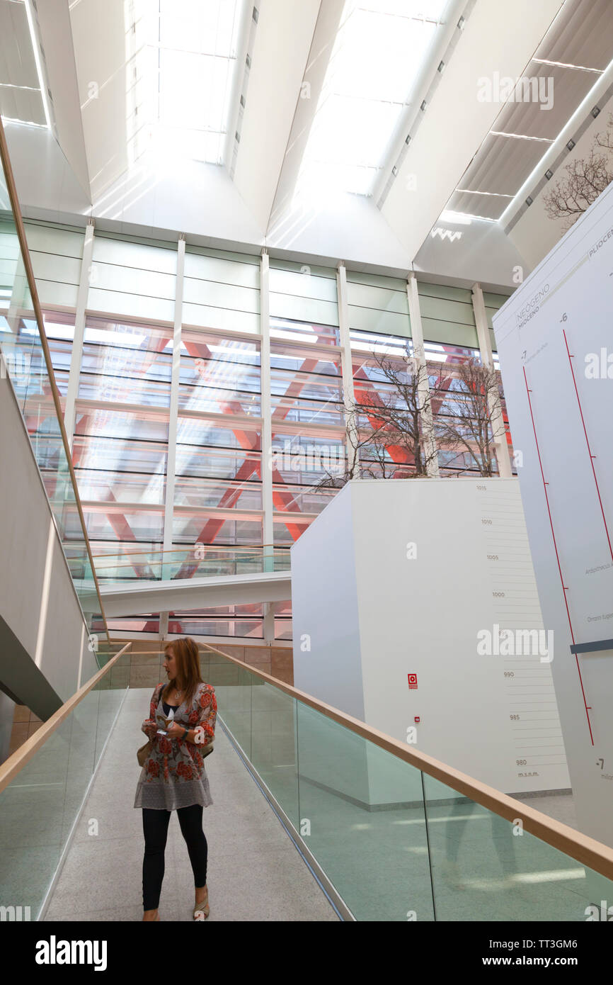 Museo de la Evolución Humana, Burgos, Castilla y León, Spain. Human ...