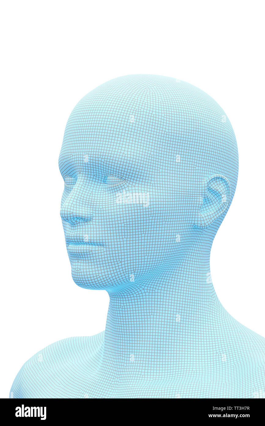Human Head. 3D Rendering image of male human body. Wireframe model ... Human Head. 3D Rendering image of male human body. Wireframe model ...