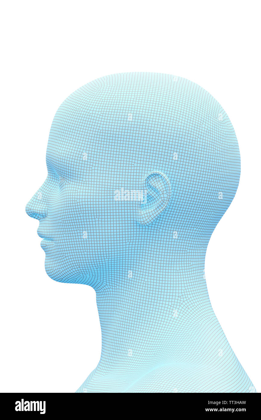 Human Head. 3D Rendering image of male human body. Wireframe model ...