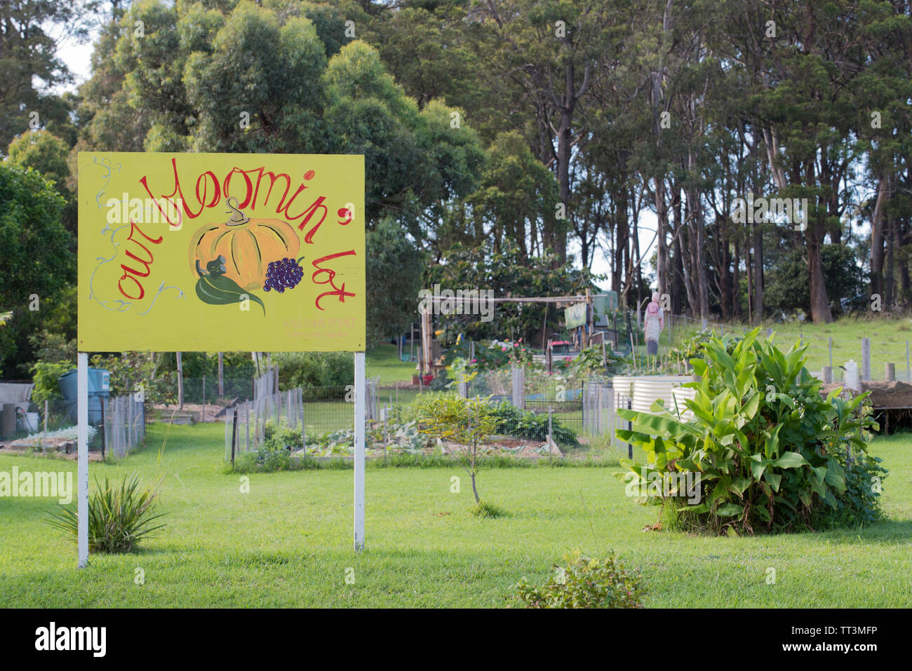 The community organic garden at Hallidays Point (Black Head Beach) on ...