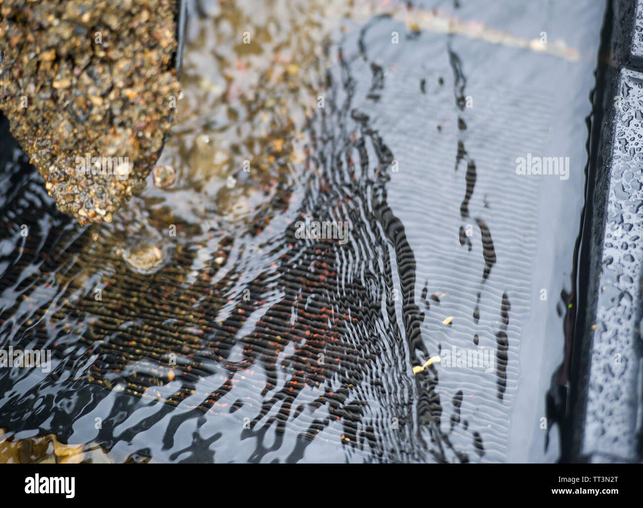 People gold panning in Dumfries and Galloway, Scotland Picture ...