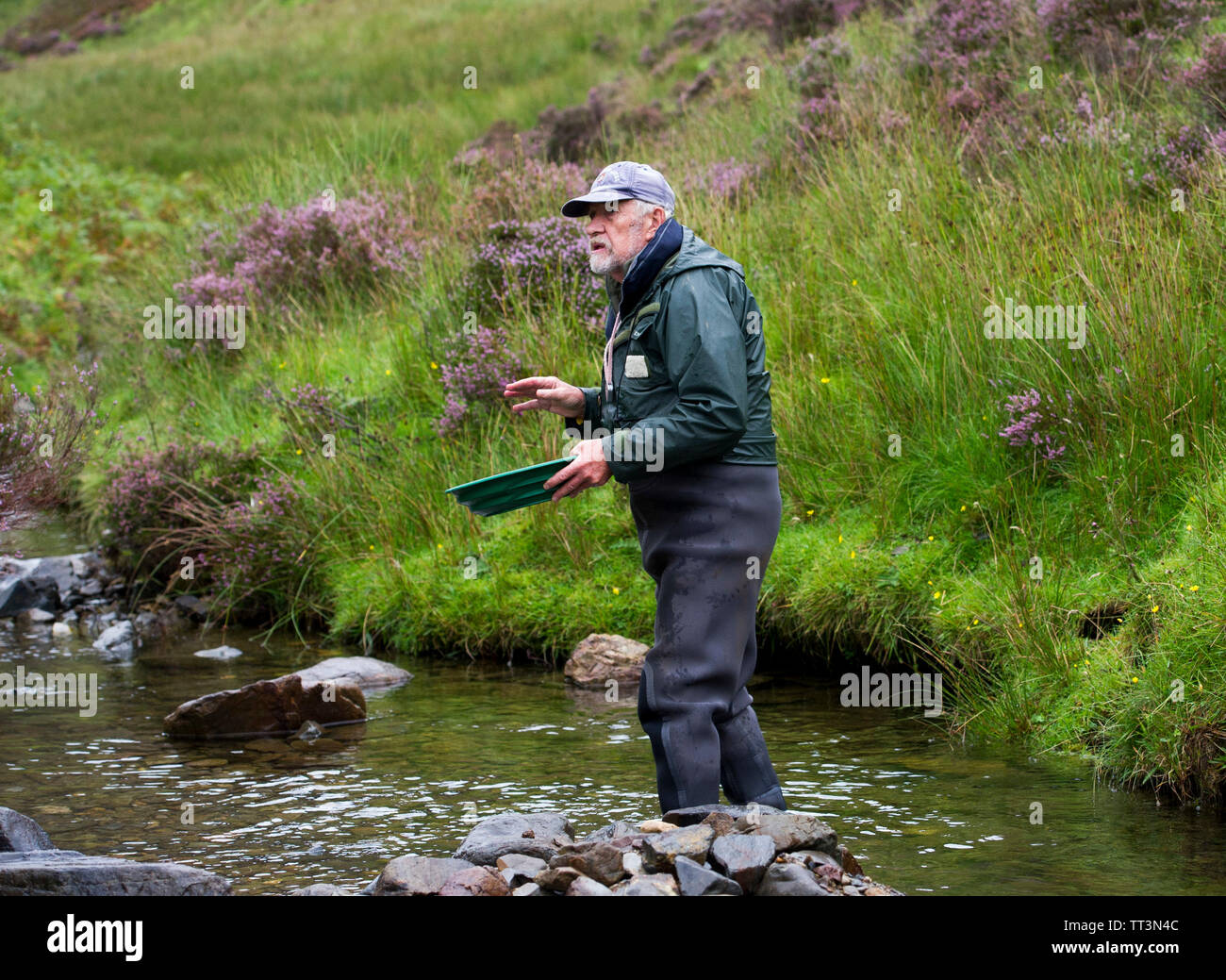 People gold panning in Dumfries and Galloway, Scotland Picture ...