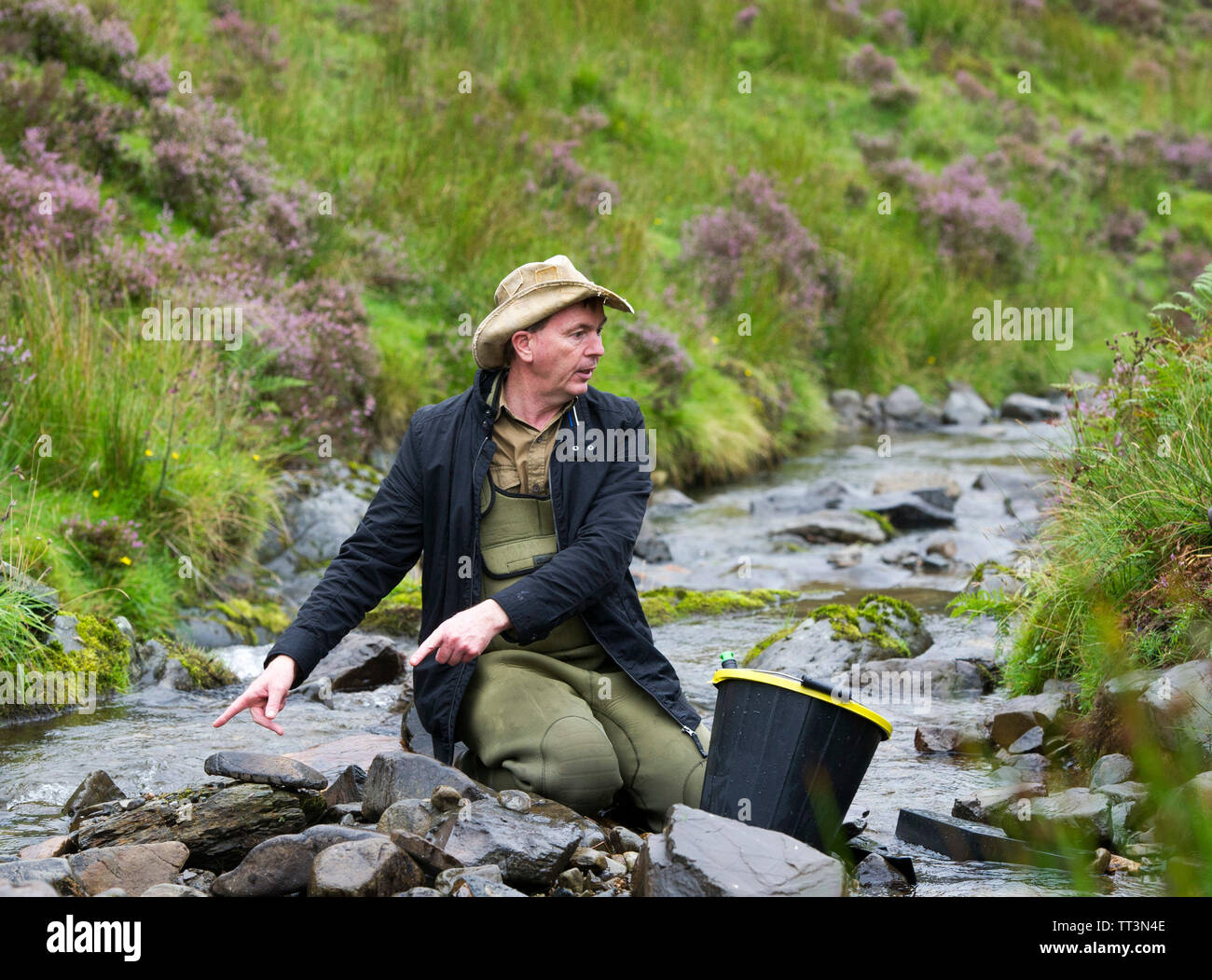People gold panning in Dumfries and Galloway, Scotland Picture ...