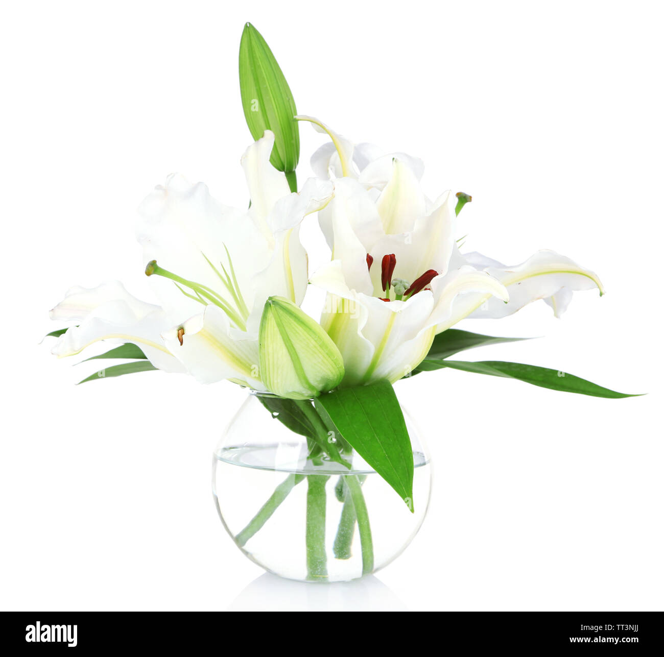 Beautiful lily in vase isolated on white Stock Photo - Alamy