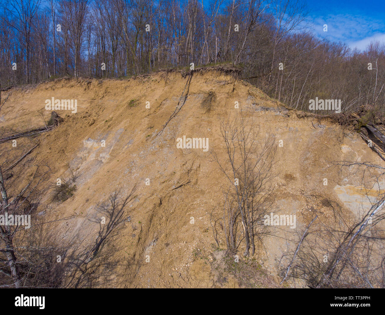 Root pit hi-res stock photography and images - Alamy