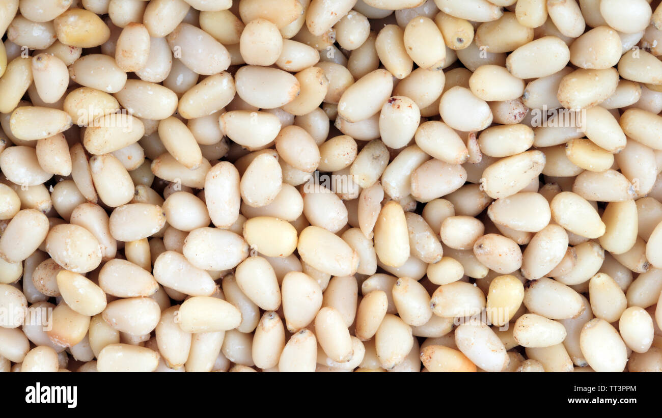 many cedar nut at day Stock Photo - Alamy