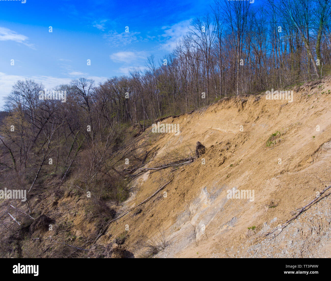 The edge of the sand pit with trees. Drone photo Stock Photo - Alamy