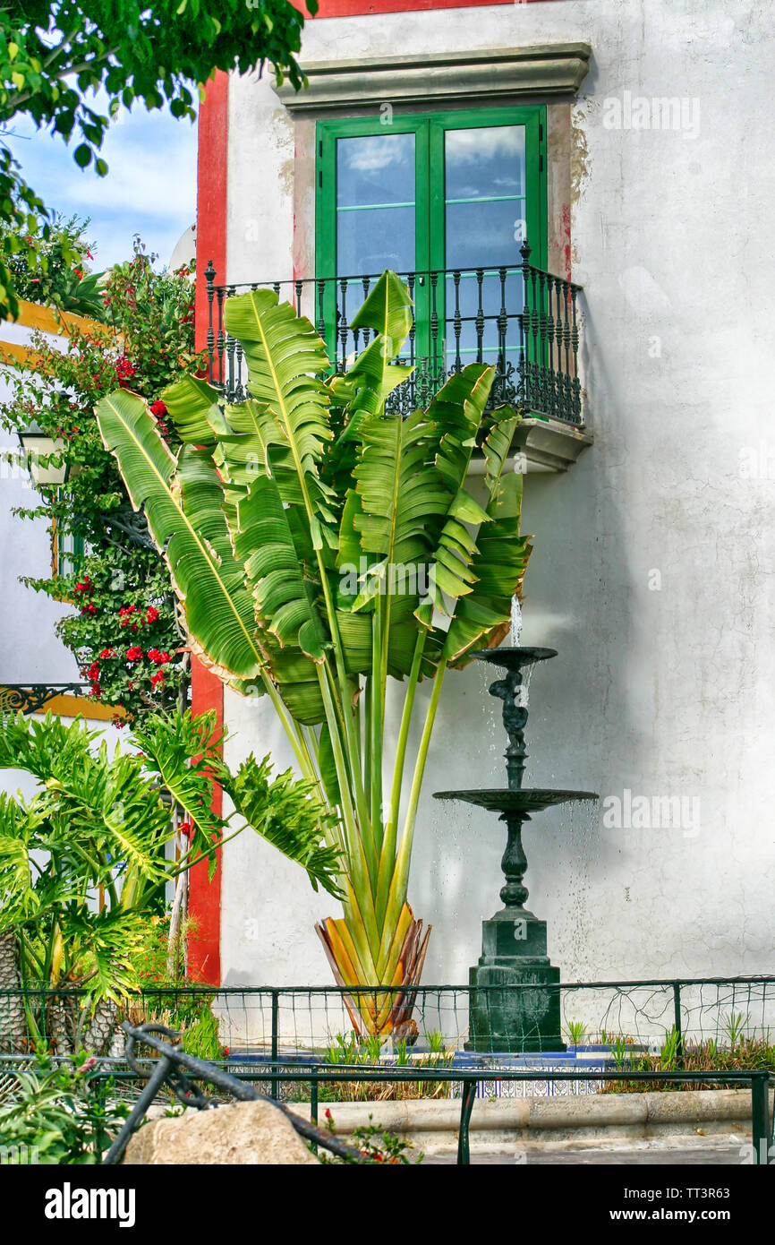 Courtyard with palm tree hi-res stock photography and images - Alamy