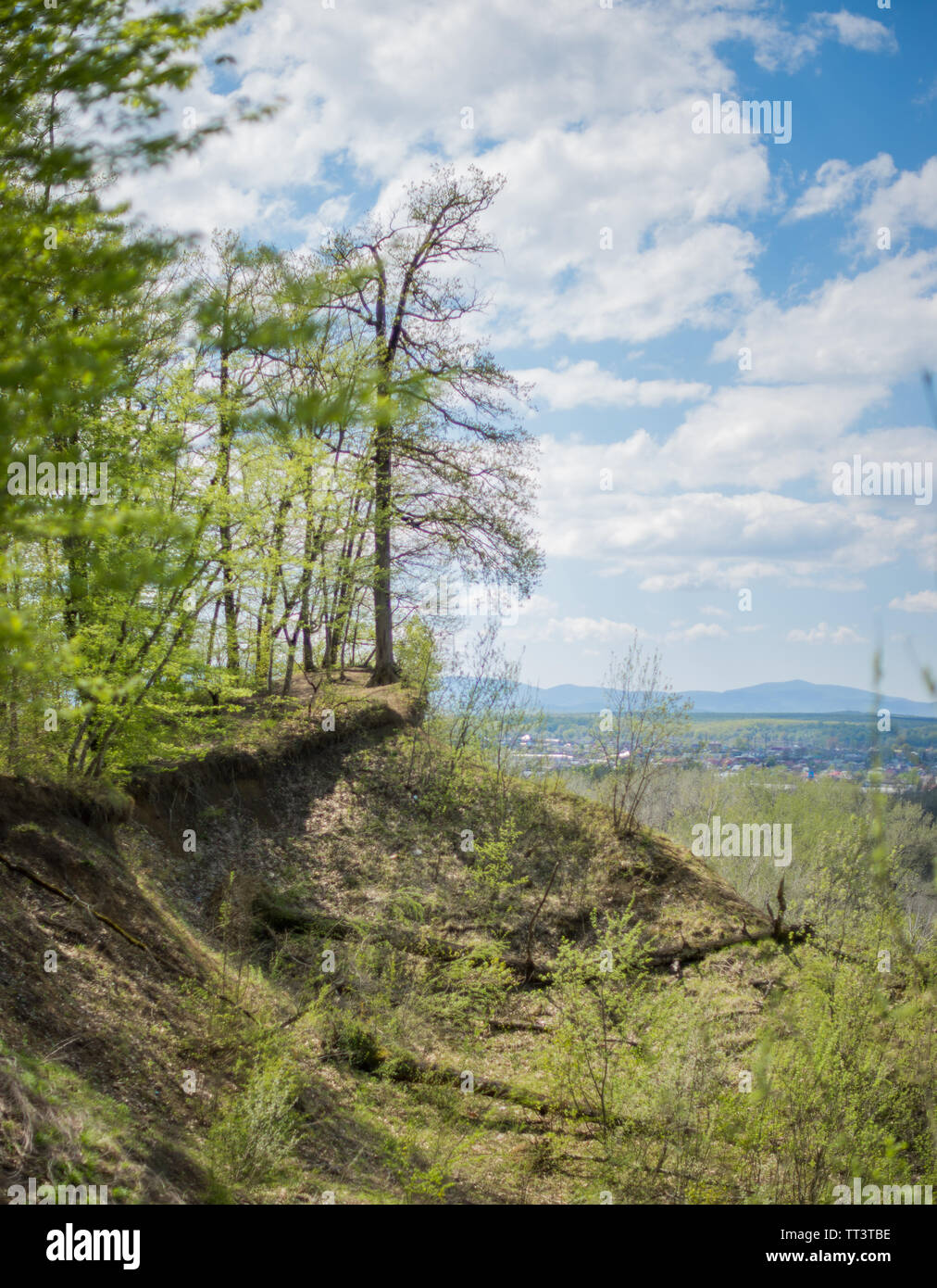 Crumbling hill with trees on the edge. Natural landscape. Vertical ...
