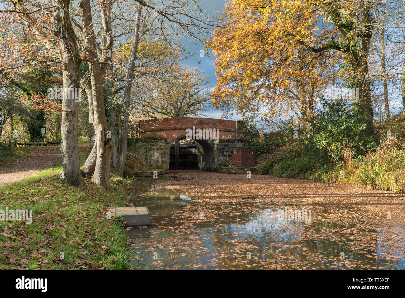 Autumn on the Wey and Arun Canal. Opened in 1816 it took goods from ...