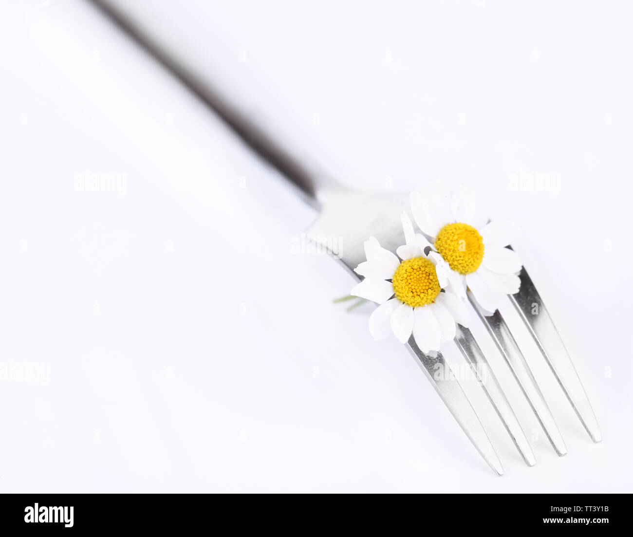 Fork with daisy flower, isolated on white Stock Photo - Alamy