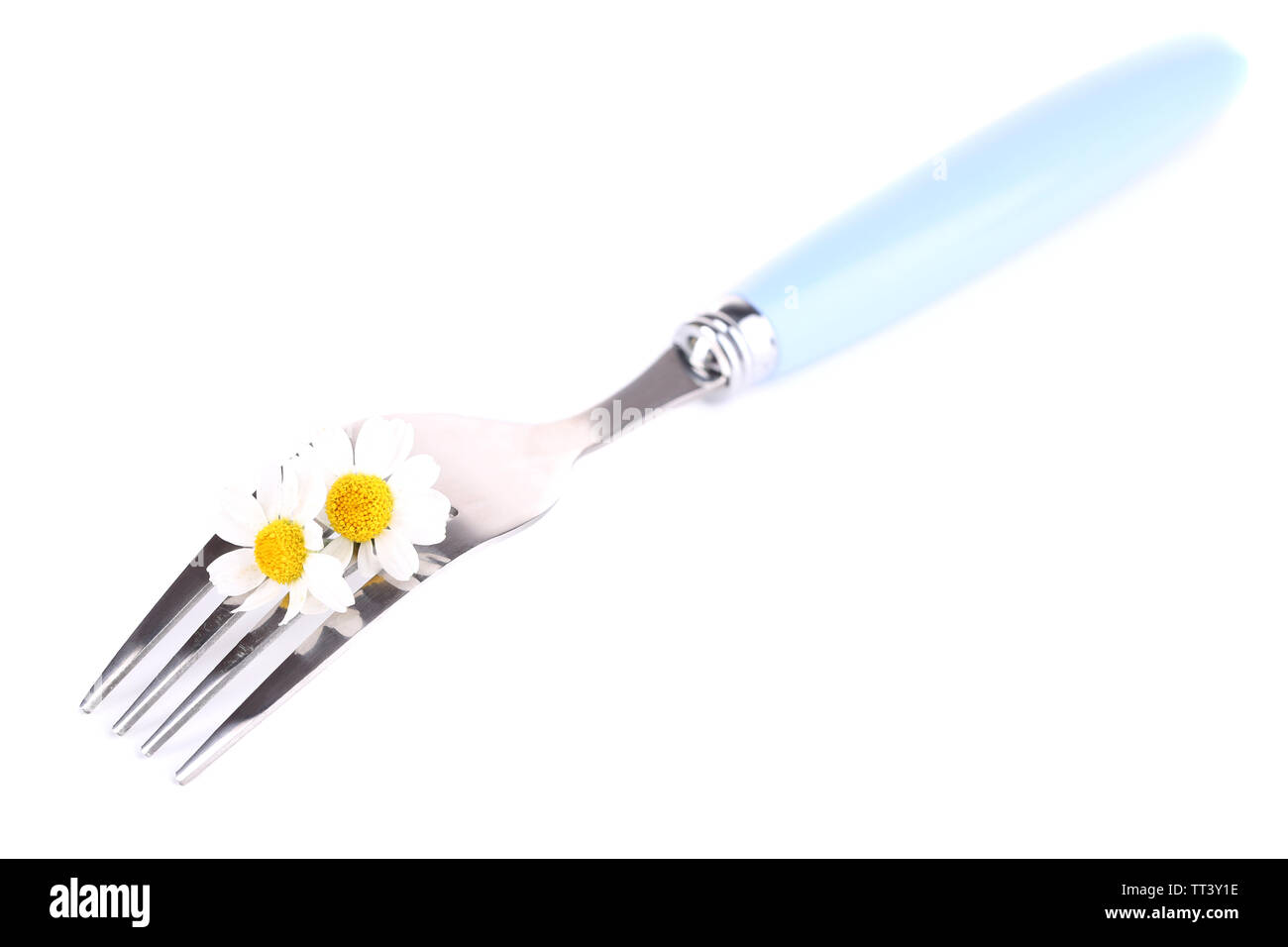 Fork with daisy flower, isolated on white Stock Photo - Alamy