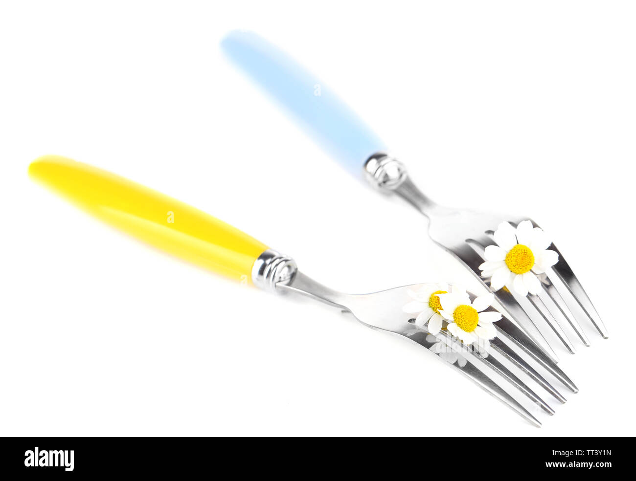 Forks with daisy flower, isolated on white Stock Photo - Alamy