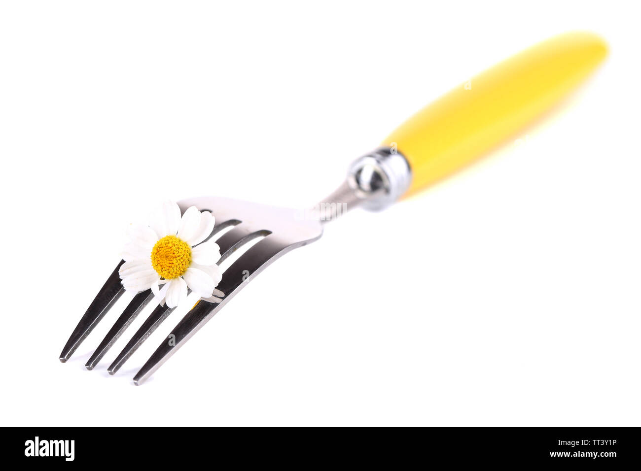 Fork with daisy flower, isolated on white Stock Photo - Alamy
