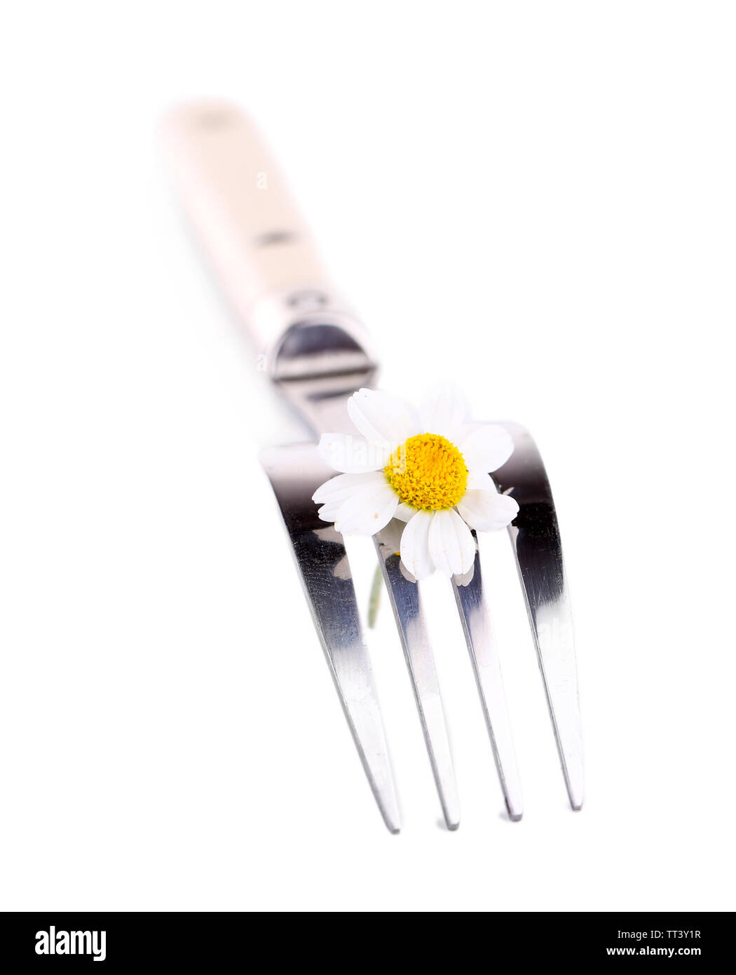 Fork with daisy flower, isolated on white Stock Photo - Alamy
