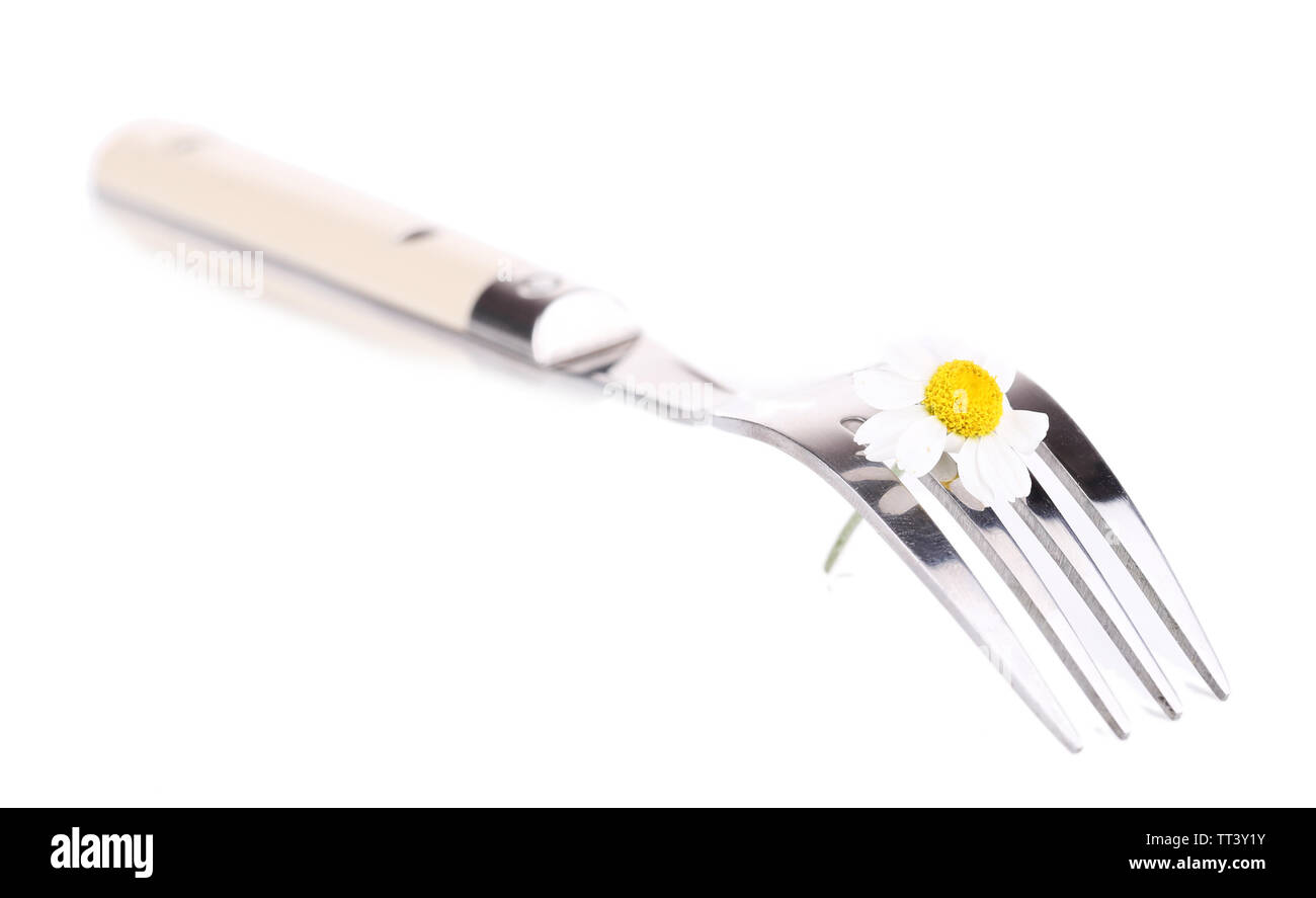 Fork with daisy flower, isolated on white Stock Photo - Alamy