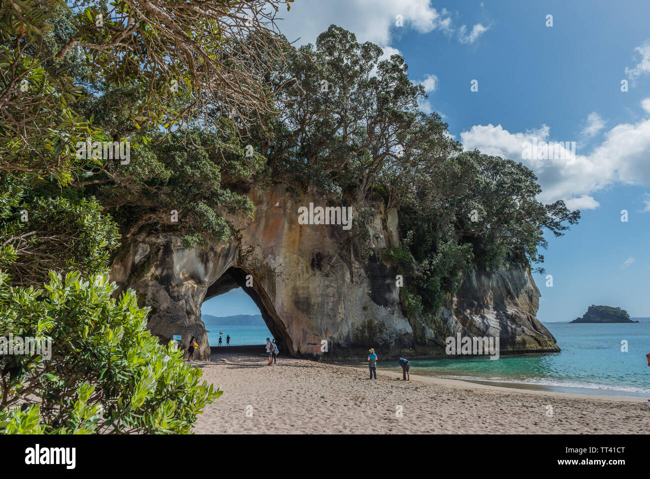 Cathedral Cove, Coromandel Peninsula, North Island, New Zealand Stock ...