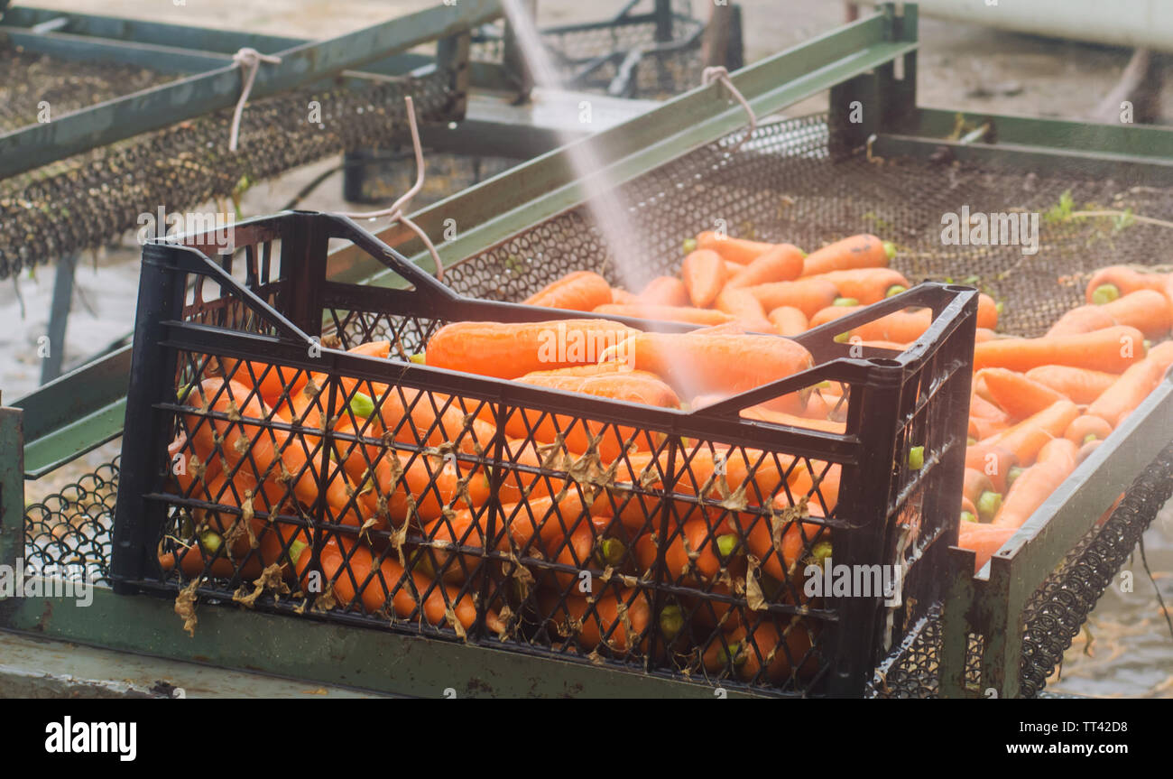 Pressure washer farm hi-res stock photography and images - Alamy