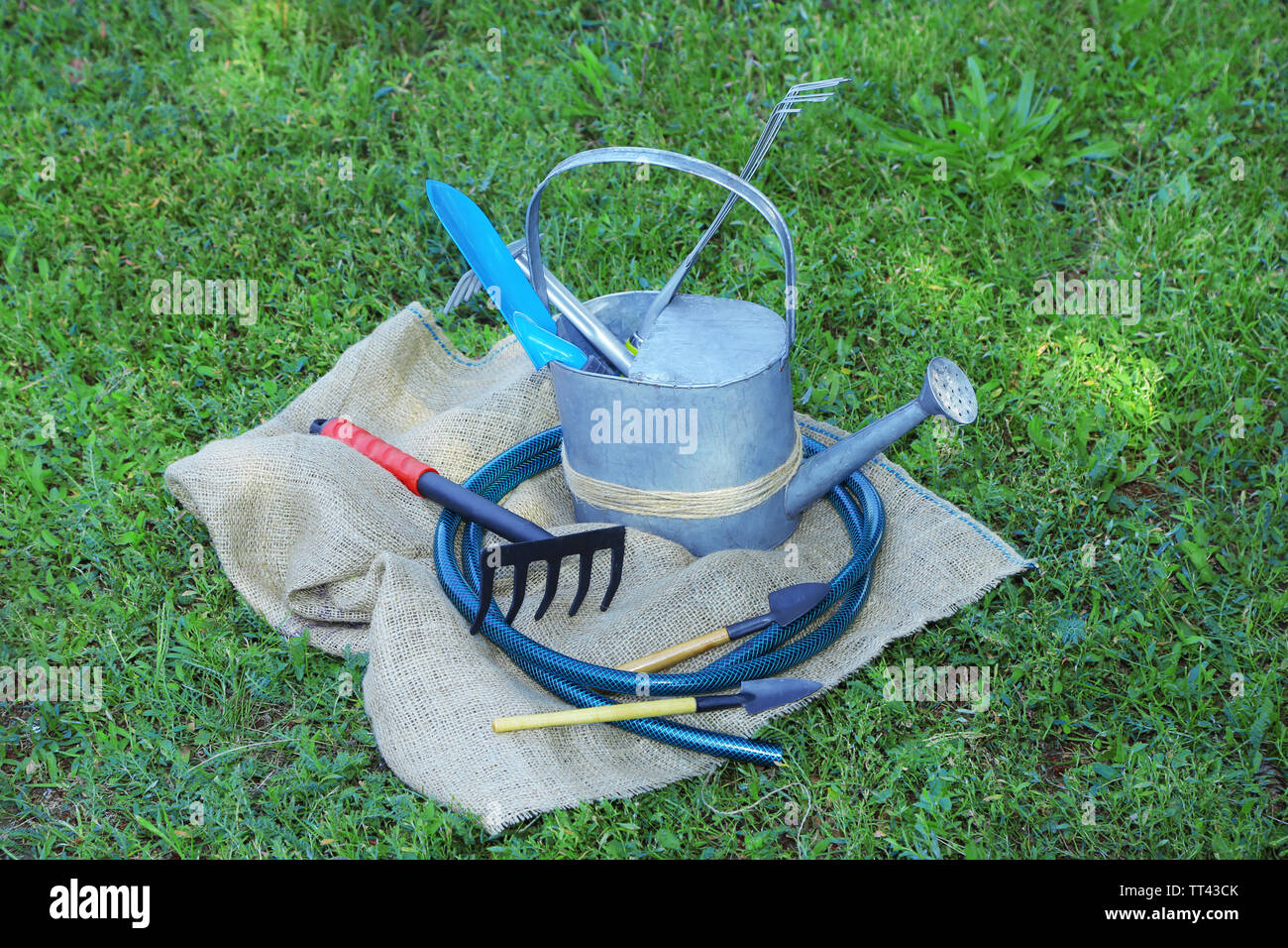 Garden tools on green grass background Stock Photo - Alamy