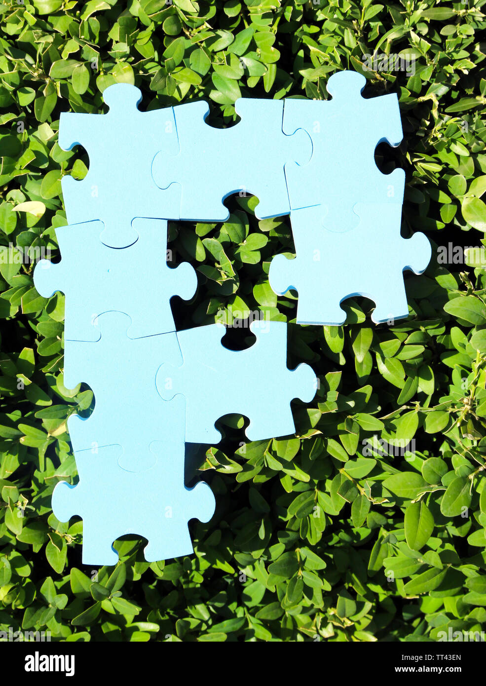 Puzzle pieces on green grass background. Green space concept Stock ...