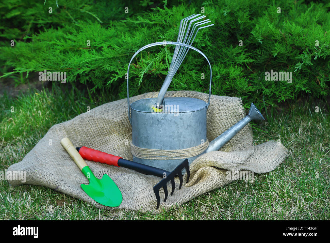 Garden tools on green grass background Stock Photo - Alamy