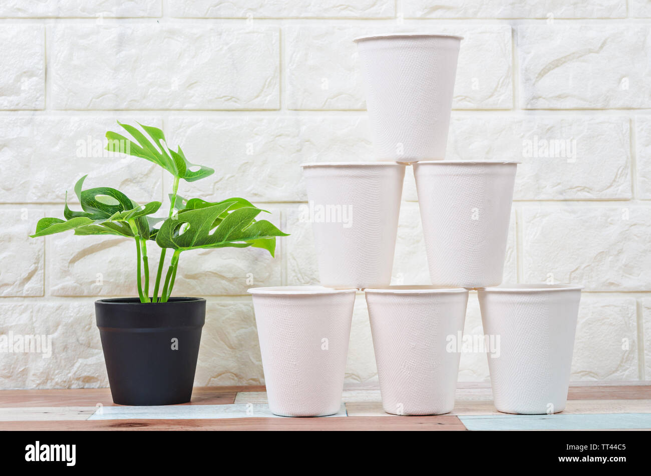 Biodegradable glass make from nature with plant Stock Photo - Alamy