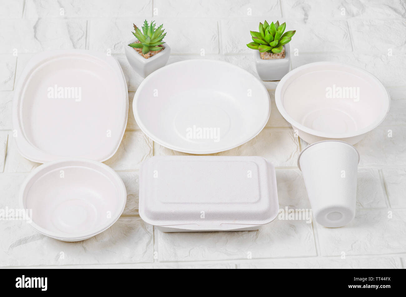 Eco-friendly biodegradable paper dishes and glass collection Stock ...