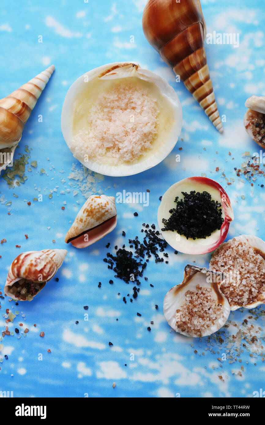 Different sea salt shells hi-res stock photography and images - Alamy