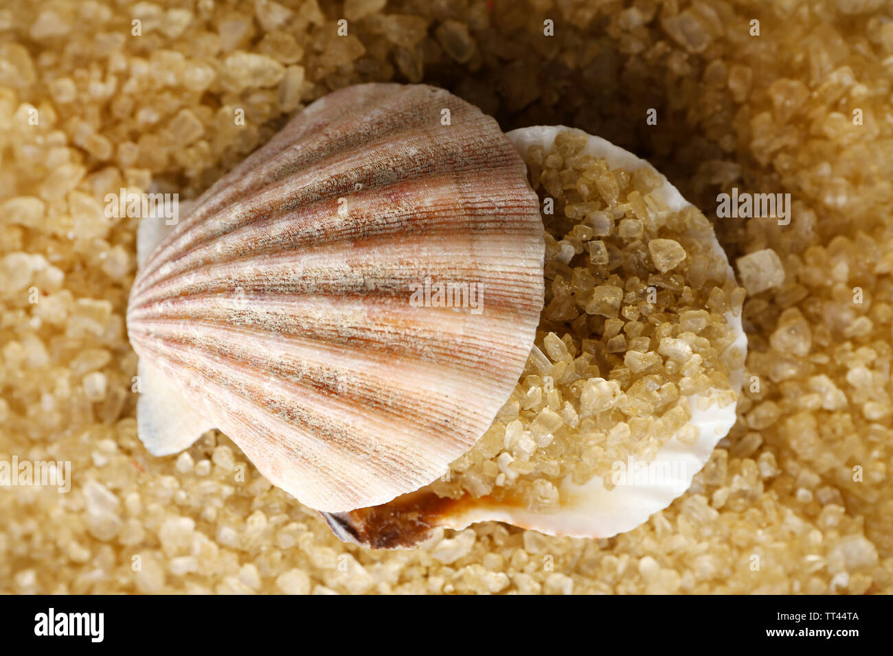 Sea salt and seashell, close up Stock Photo - Alamy