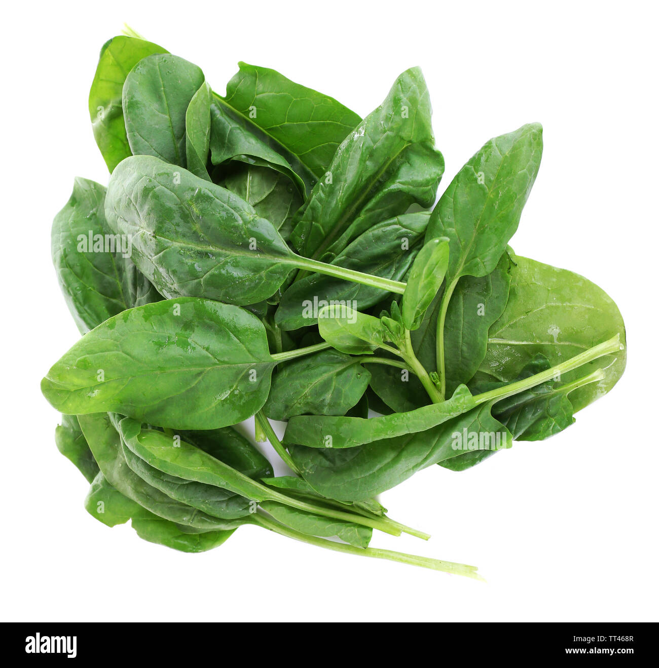 Sorrel color Cut Out Stock Images & Pictures - Alamy