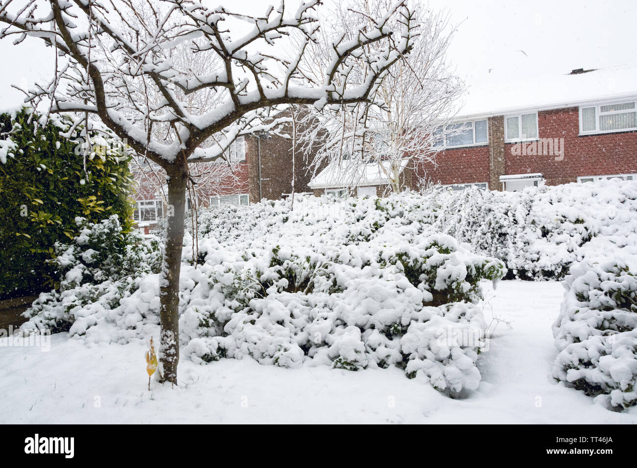 Snowy trash bin hi-res stock photography and images - Alamy