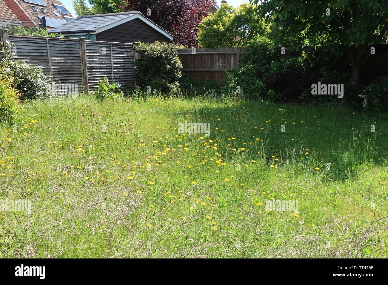 Messy garden hi-res stock photography and images - Alamy