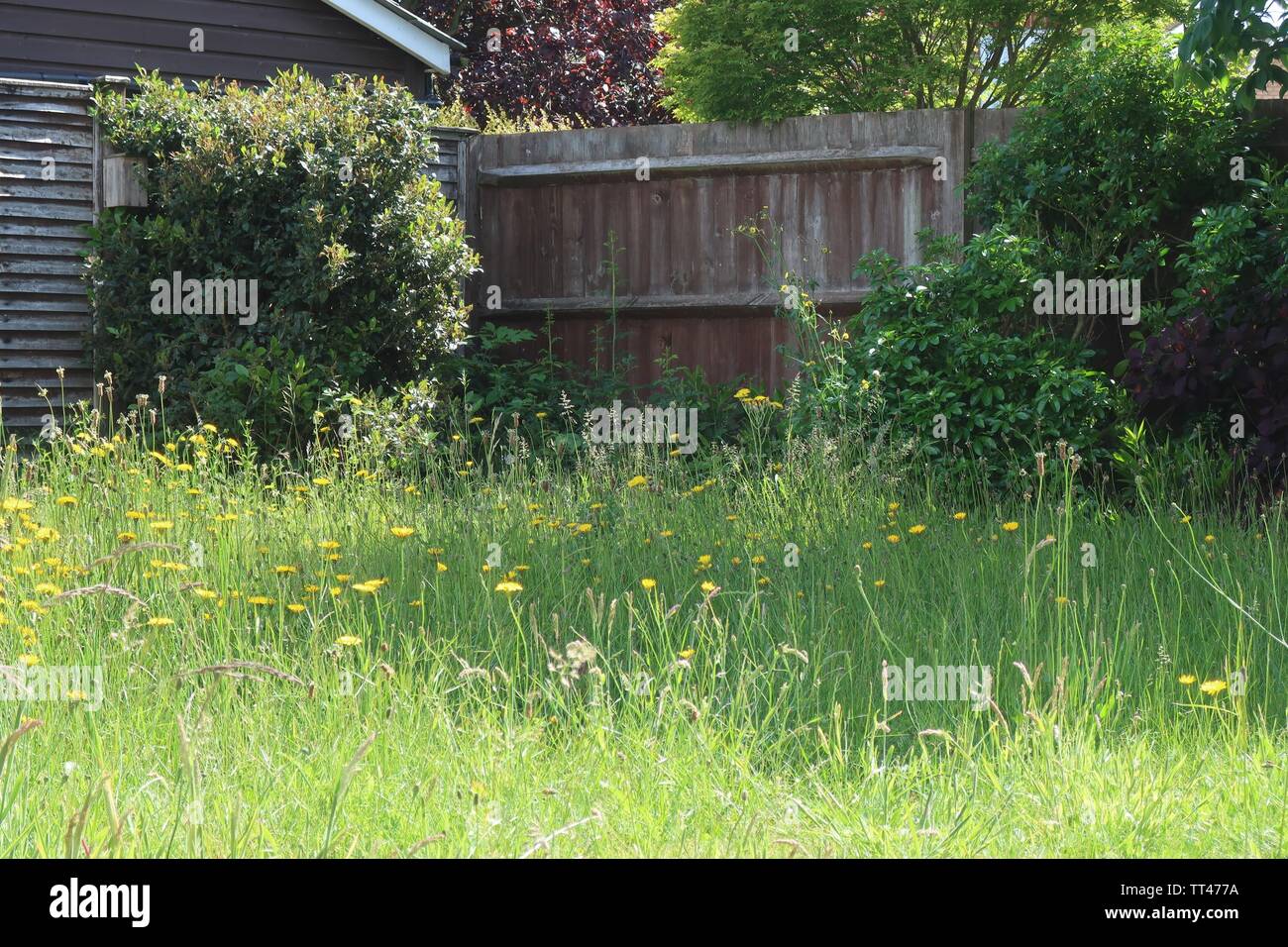 Unkempt Garden High Resolution Stock Photography and Images - Alamy