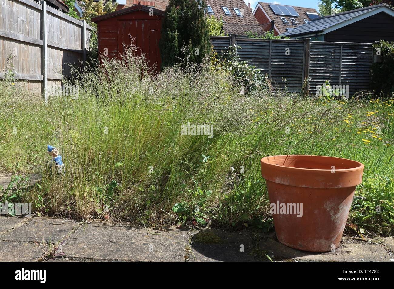 Messy garden hi-res stock photography and images - Alamy