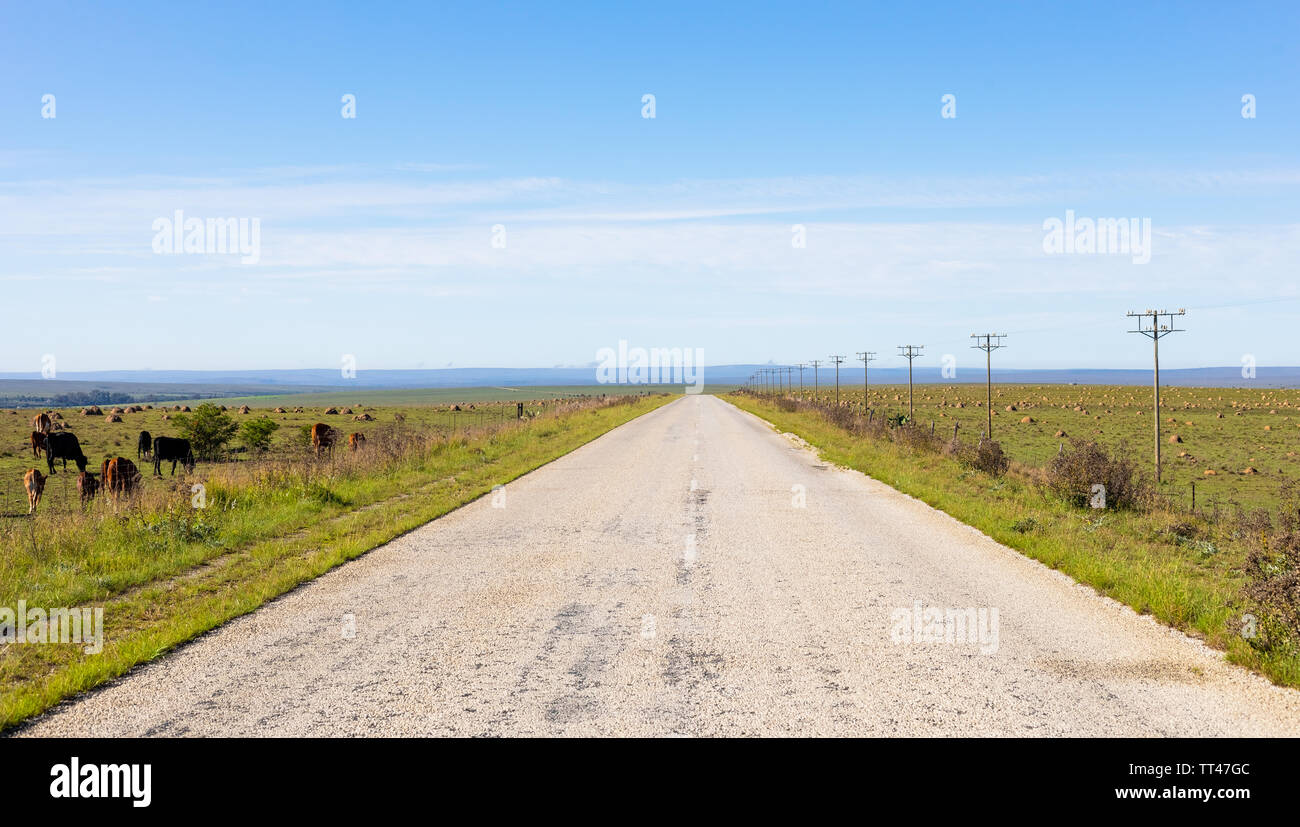 View of an empty country highway road in South African Farmland region ...