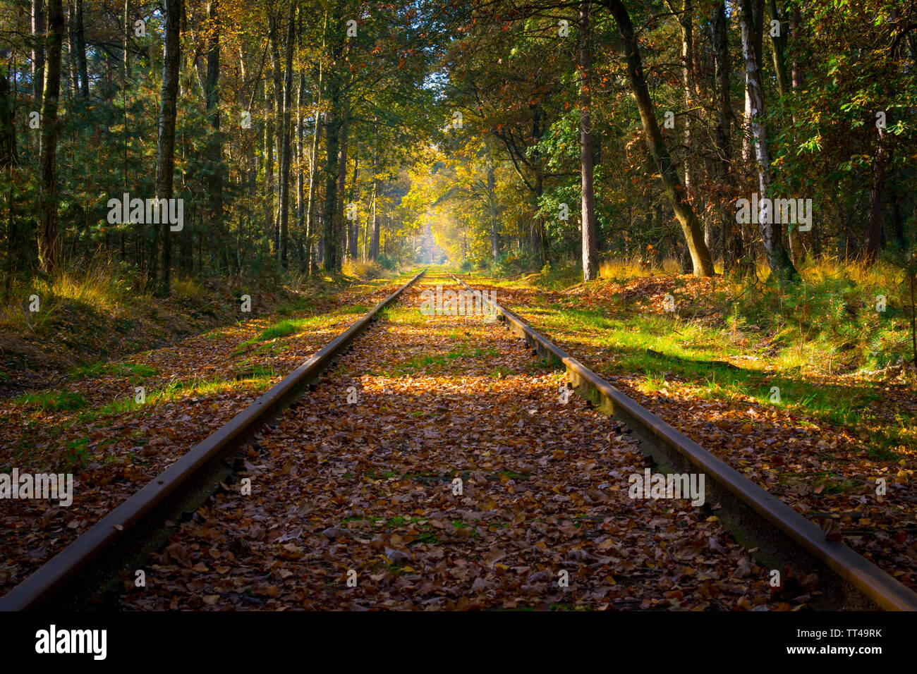 Empty railroad hi-res stock photography and images - Alamy